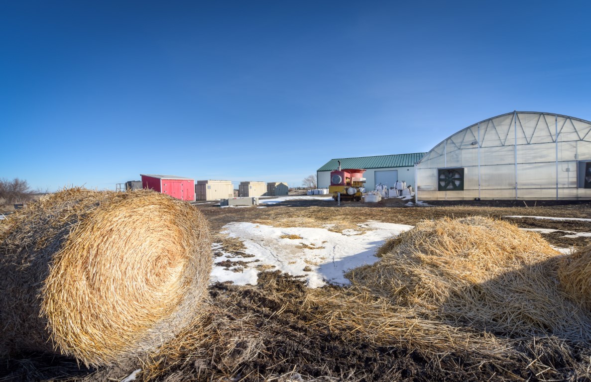 Biomass Processing, Biochar Production, and R&D Farm - Qualterra