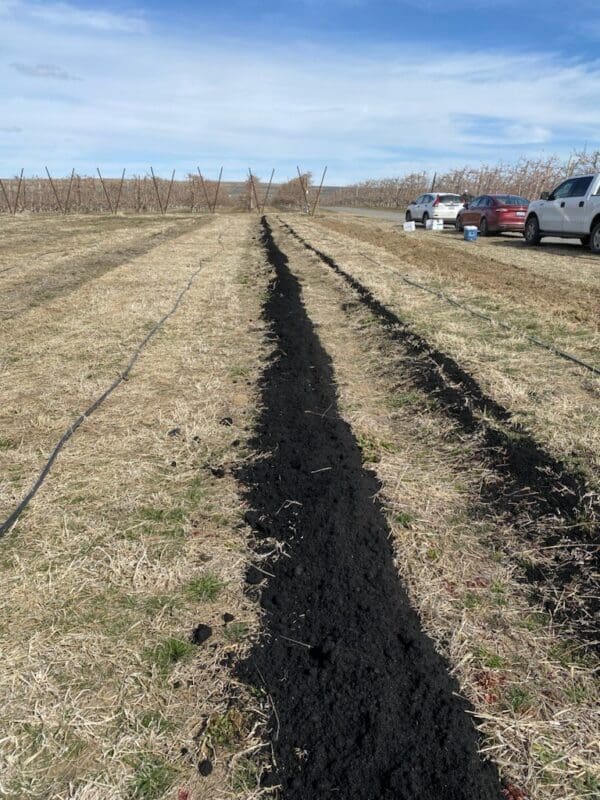 Biochar Soil Amendments - Qualterra