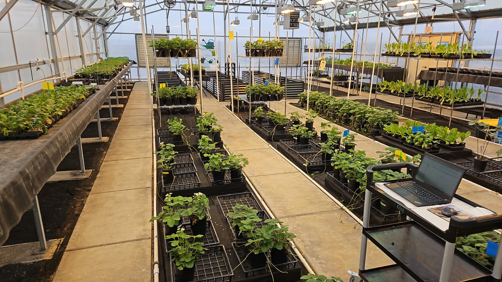 Biomass Processing, Biochar Production, and R&D Farm - Qualterra