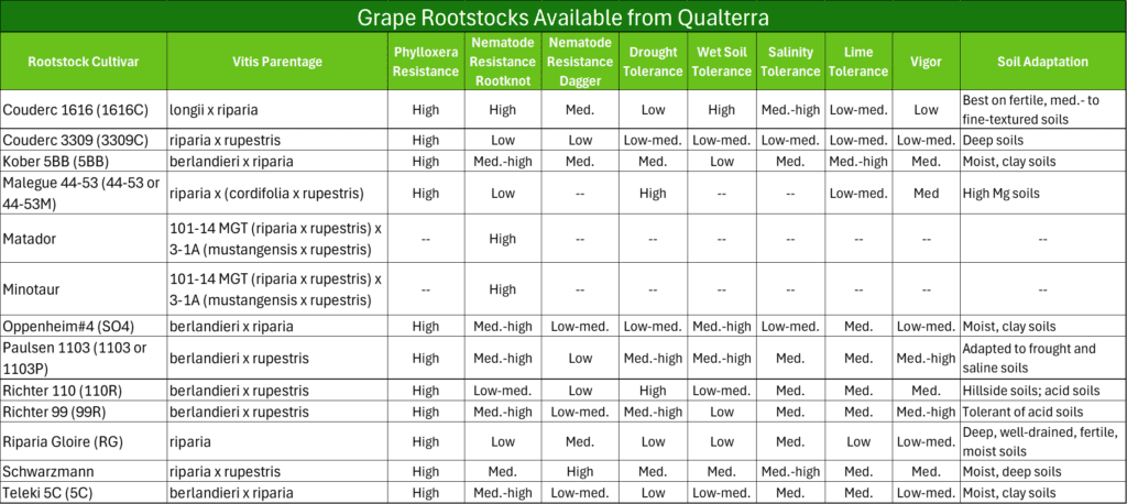 Clean Plant Propagation - Qualterra